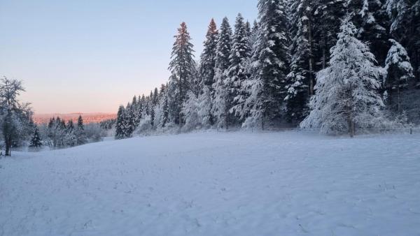 Appartement T3 60m2 Calme - Les Rousses