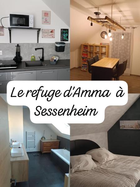Le Refuge D'amma - Haguenau