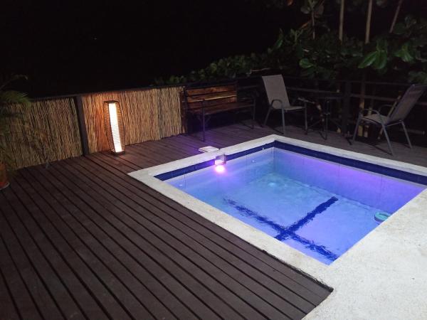 Fruta De Mango #2 - Costa Rica