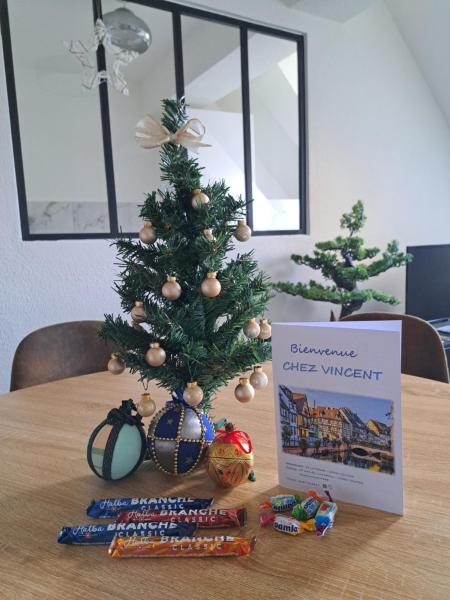 Appartement Centre Historique Avec Parking Inclus - Colmar