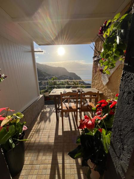 Tropical House - Madeira