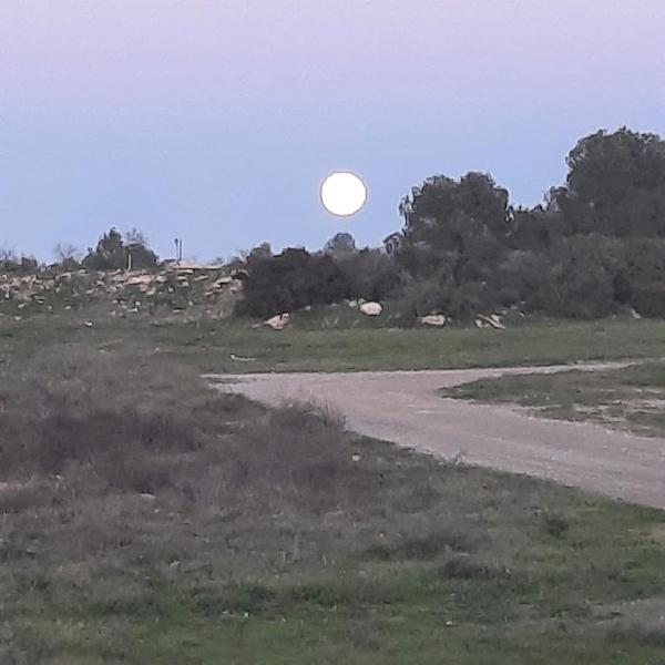 Duplex Llorach I - Lleida