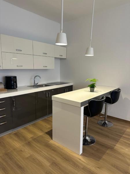 Centerpoint Apartment - Karlovy Vary