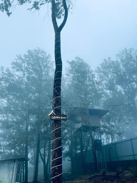 Golden Grove Treetops - Idukki