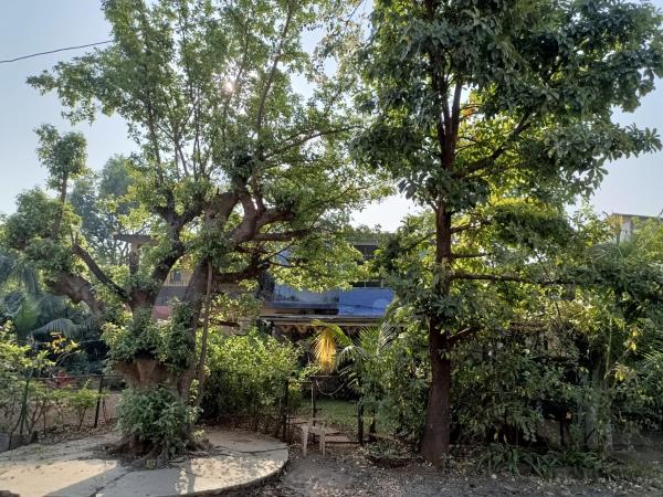 Lavish 1bhk Or 3bhk Rowhouse With Pvt Garden, Lonavala City - Lonavala