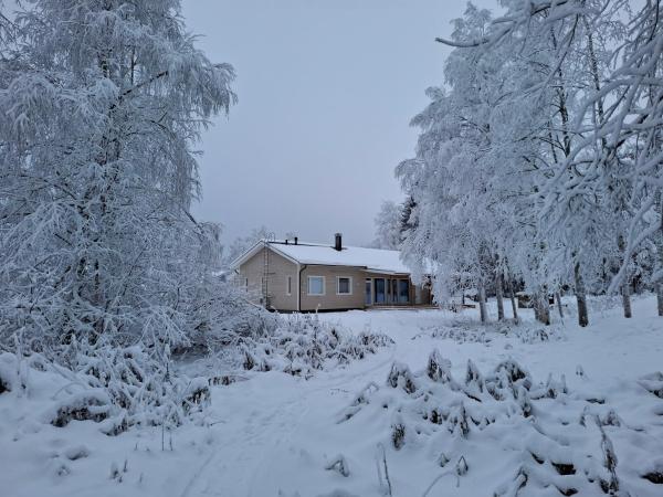 Villa Sauna - Rovaniemi