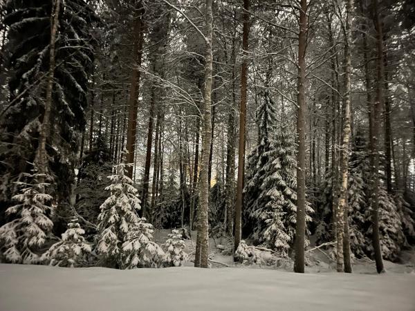 Brand New Arctic Snowstar Apartment - Rovaniemi