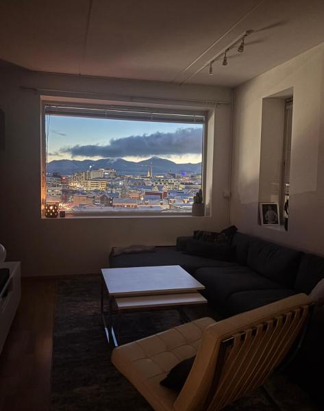 Stylish City Apartment With Panoramic Views - Tromsø