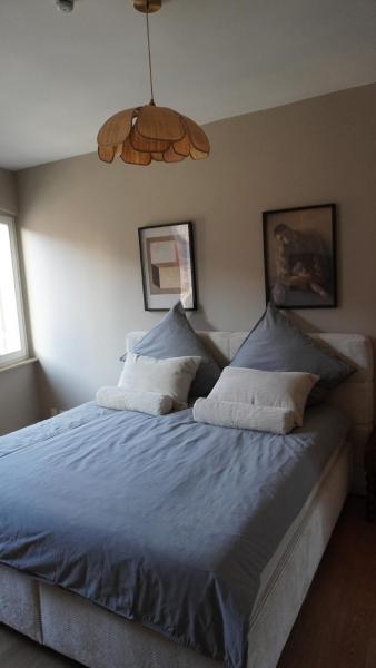 Comfort Apartment Altstadt Wintergarten Klimaanlage - Heidelberg