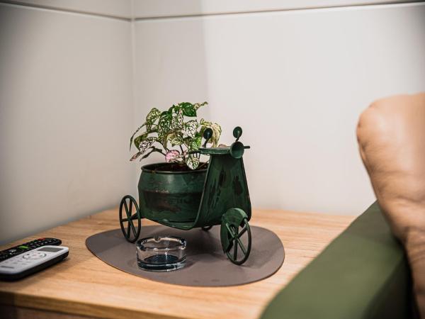 Lake Serenity Premium Mobile Homes-two Bedroom - Slovénie