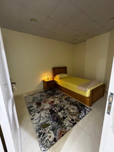 Alexandr Tamar - Cairo