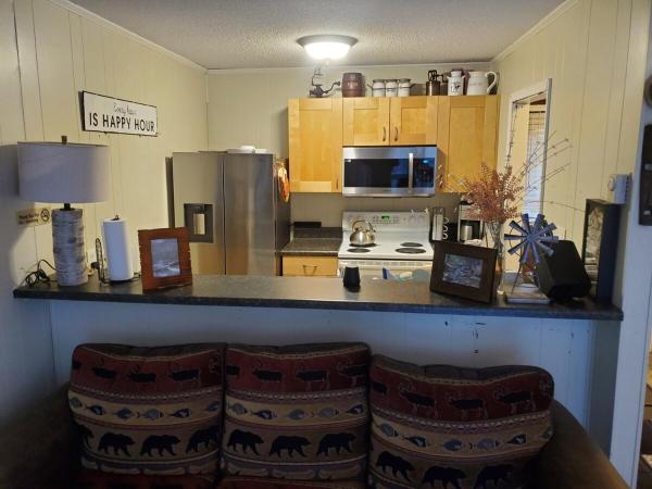Mountain Holiday Paradise - Sleep 4-6, Pet Allowed - Beech Mountain, NC