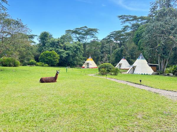 Bosque De Aventura & Glamping El Faro - La Mesa