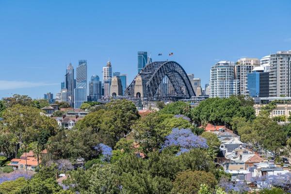 Bridge View Nest - North Sydney