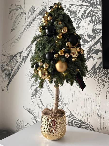 Apartament Premium - Polônia