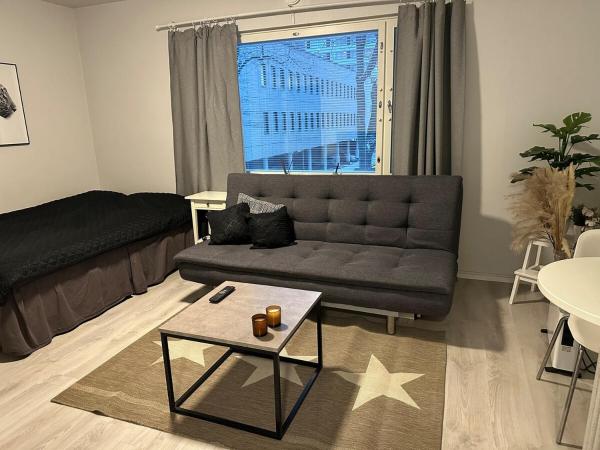 Functional Studio In The Center - Turku