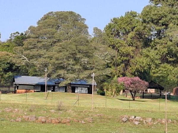 Amazeng Farmhouse Mustang - Mashishing