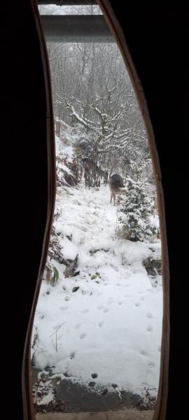 Radja Hobit Penzion - Ústí nad Labem