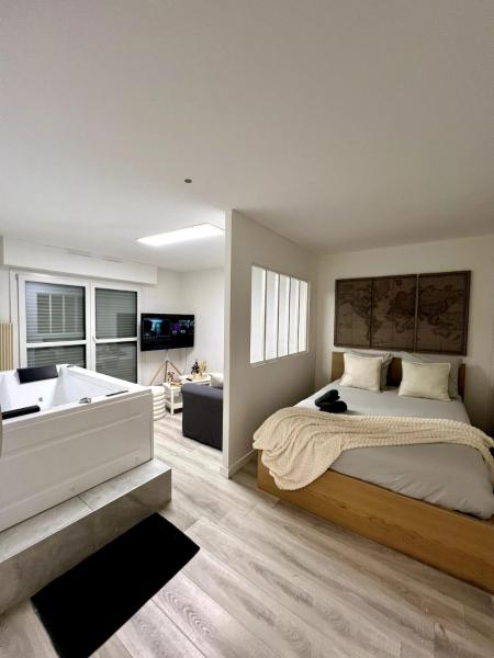 Appartement Avec Jacuzzi Proche Du Centre - Strassburg