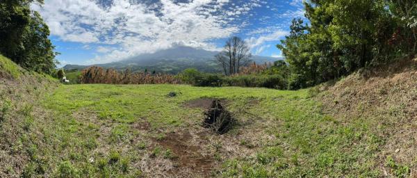 El Spot Orgánico - Costa Rica