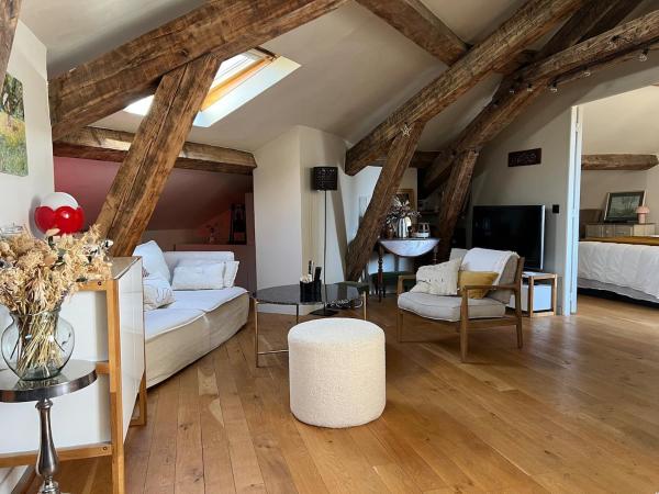 Nid Douillet Sous Les Toits Bourguignons - Dijon