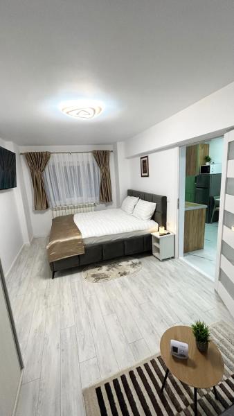 Modern Studio Cetate - Alba Iulia