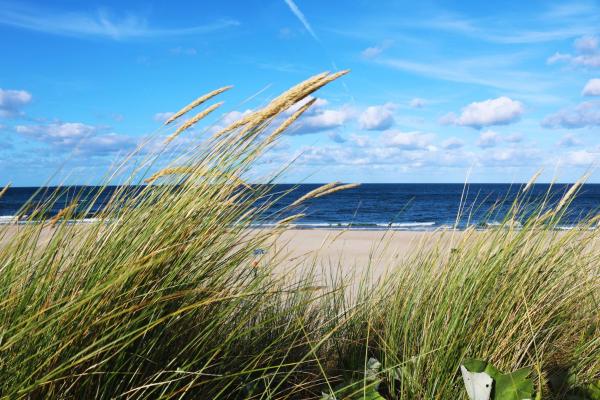 Studio App Quartier18-s02 Strandnah - Karlshagen