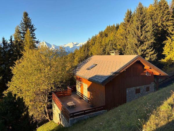 Chalet Confortable Avec Billard, Cheminée Et Wifi à Vallandry - Fr-1-411-545 - Arc 1800
