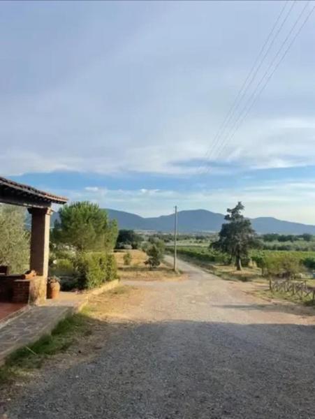 Agriturismo Da Quei Citti - Gavorrano
