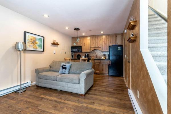 Winter Park Condo With Fireplace And Mountain Views - Fraser, CO