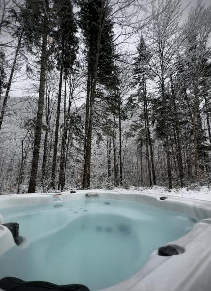 Chalet Le St-ray - La Tuque