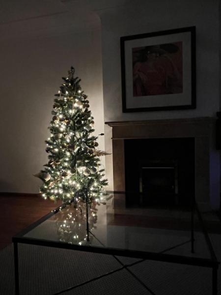 Franciscus - Bergen op Zoom