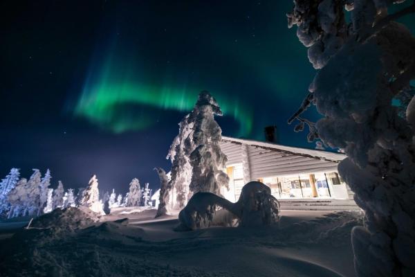 Chalet Magical Forest Harjunpolku Lapland - Rovaniemi
