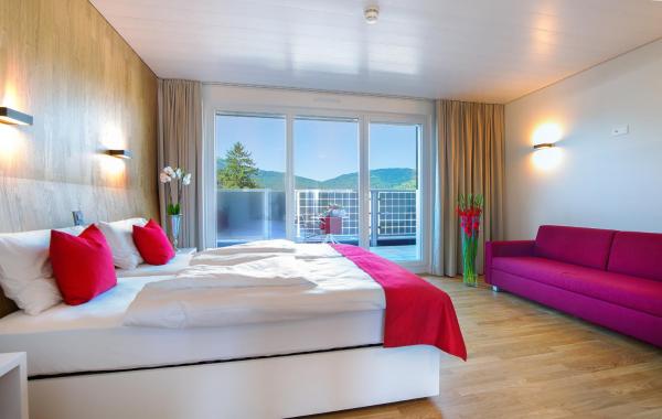 Hotel Restaurant Rhy - St. Gallen
