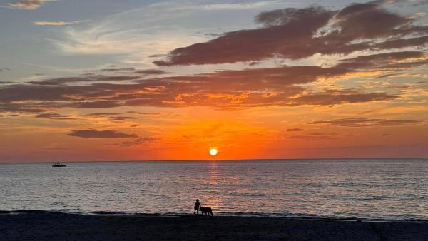 Buddy's Beach House Sipalay - Sipalay