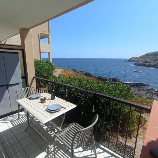 2rb40 Très Joli Appartement Climatisé Et Parking Vue Mer - Colliure