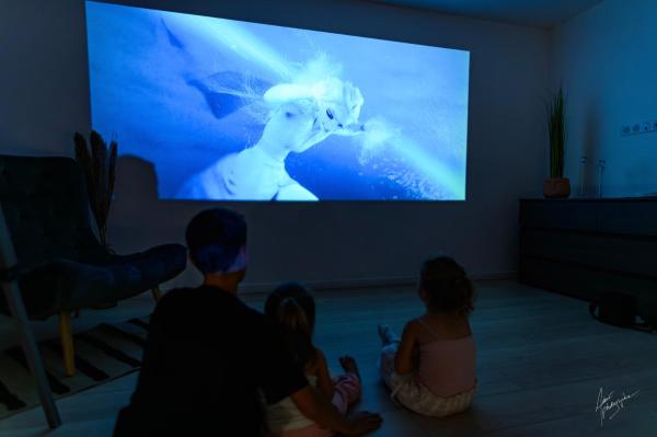 Le Bohème Par Vosges Sérénité - Épinal