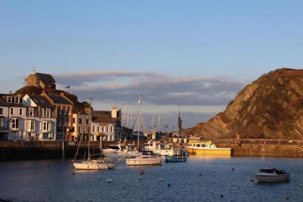 The Fishermans Cottage - Ilfracombe - Ilfracombe