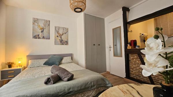 Le Remède - Studio Calme Hyper-centre Orléans - Orléans