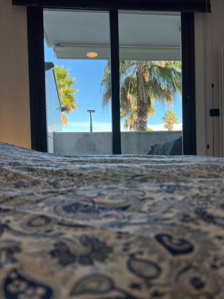 Palm Grove House - Loano