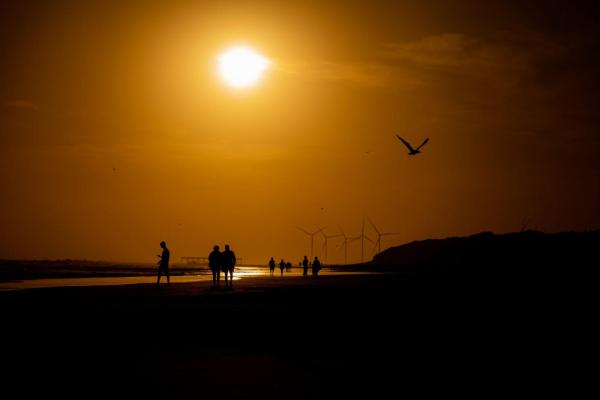 Los Colibríes - Necochea