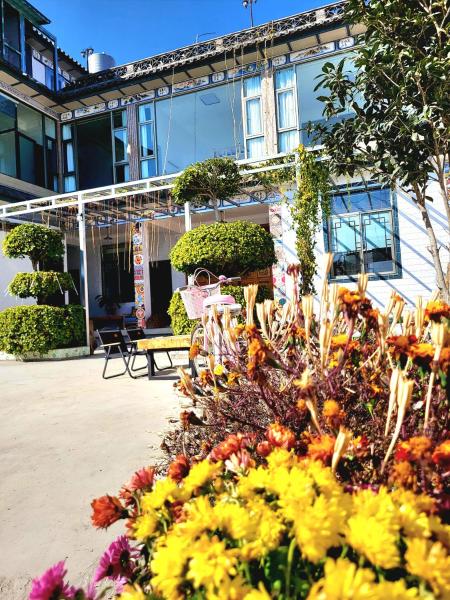 Dali Flower&cat Villa - Dali