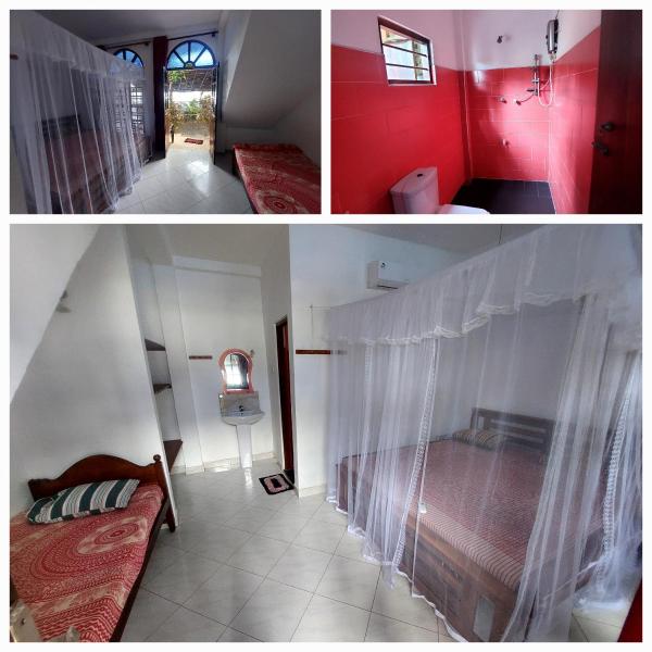 Palm Trees - Mirissa