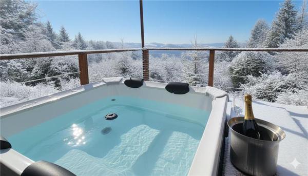 Chalet Isolé Avec Jacuzzi Et Vue Panoramique - Suisse
