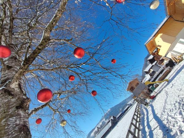 Haustiptop - 瓦格賴恩