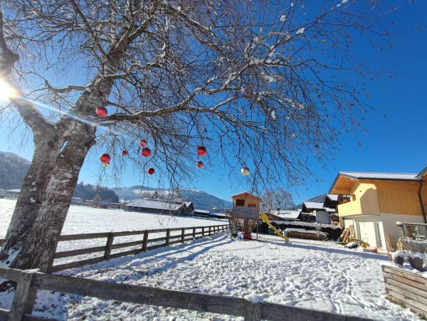 Haustiptop - Flachau