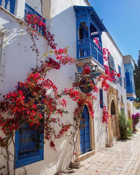 La Maison Kmar Sidibousaid - Sidi Bou Saïd