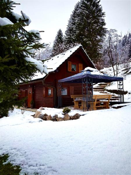 Cottage Ladybug - Kranjska Gora