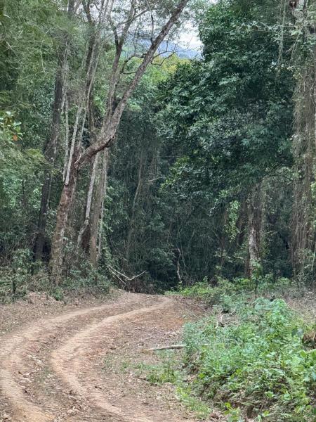 Sítio Da Sara Com áGua Mineral, Rio E Muito Verde - Minas Gerais