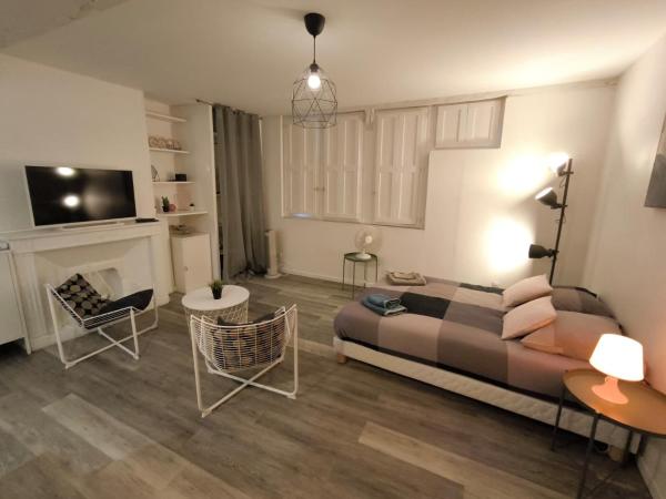 Studio Lumineux Hyper Centre - Quartier Bourgogne - Olivet